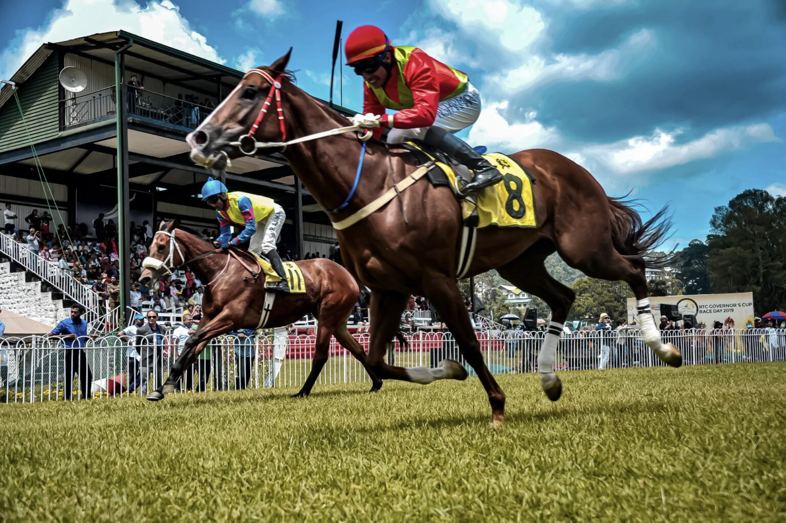 Belle turf : tout savoir sur les courses hippiques et leurs prédictions ...