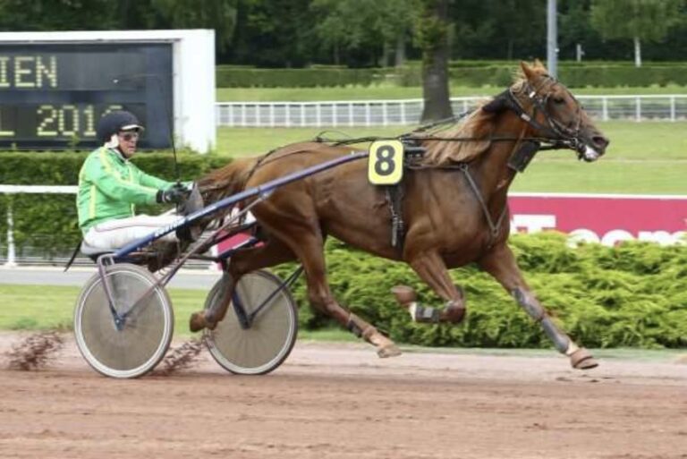 Le boss du turf : une passion sans limites - Turf Gagnant