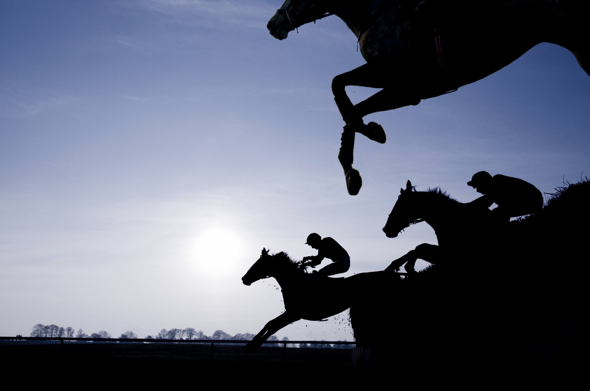 Cheval coup sur du jour pour gagner vos paris - Turf Gagnant