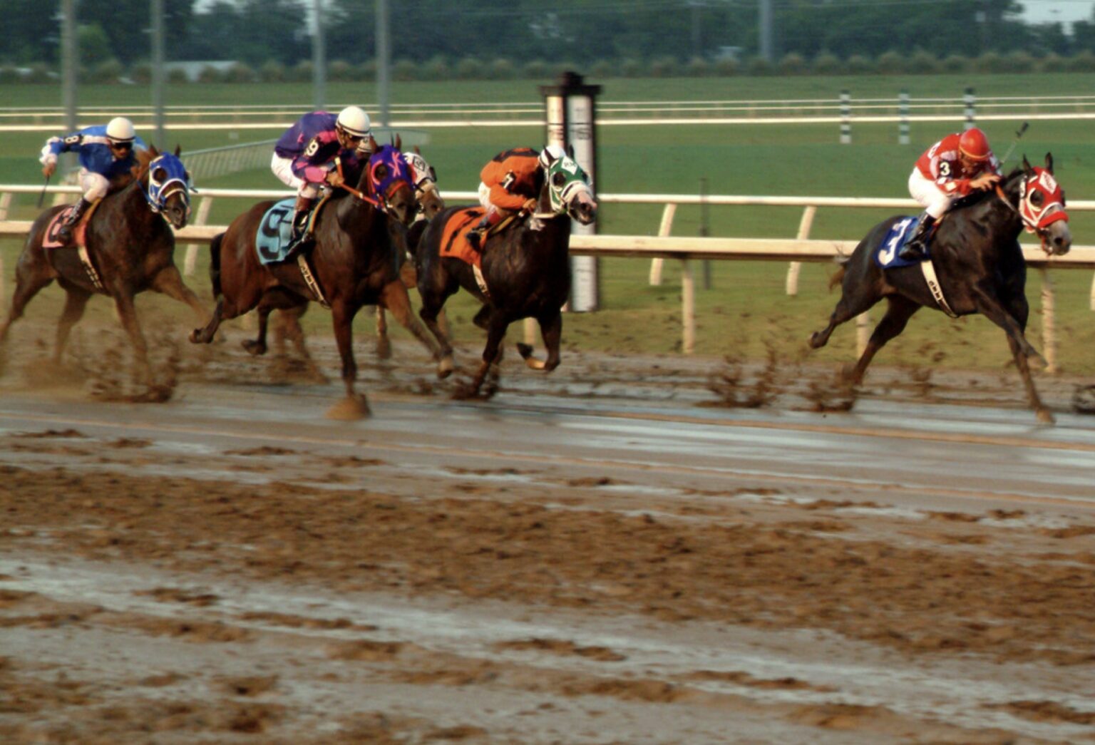 Canalturf : pronostics, résultats et conseils pour les courses ...