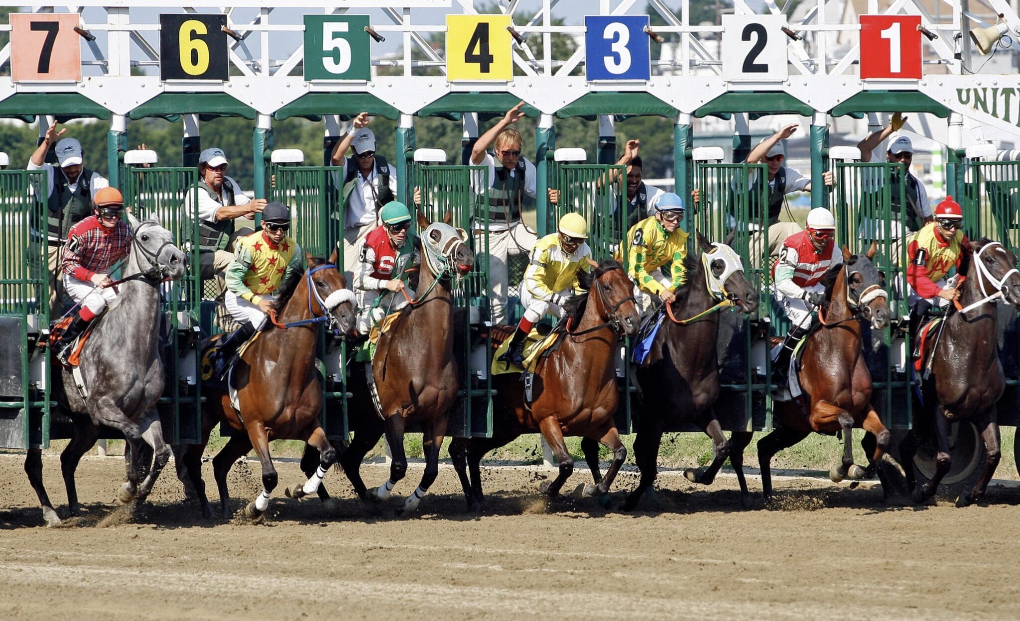 Paco Turf : plongez dans l’univers des courses hippiques et devenez un pro du turf - Turf Gagnant