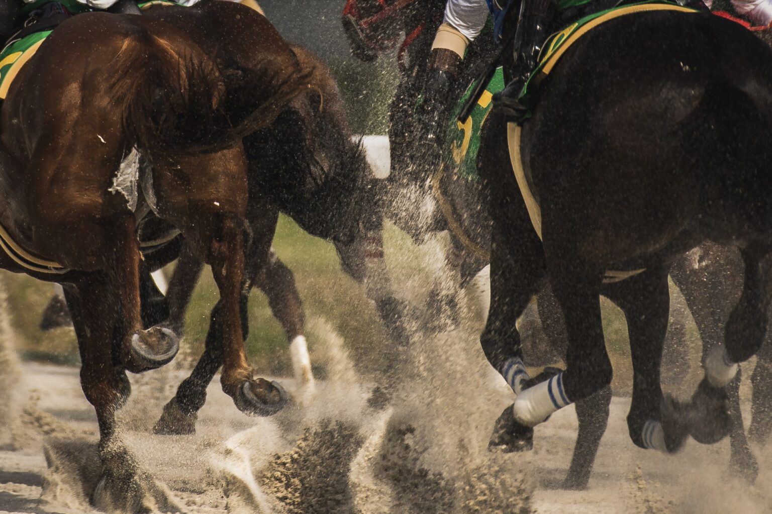 Le boss du turf : une passion sans limites - Turf Gagnant