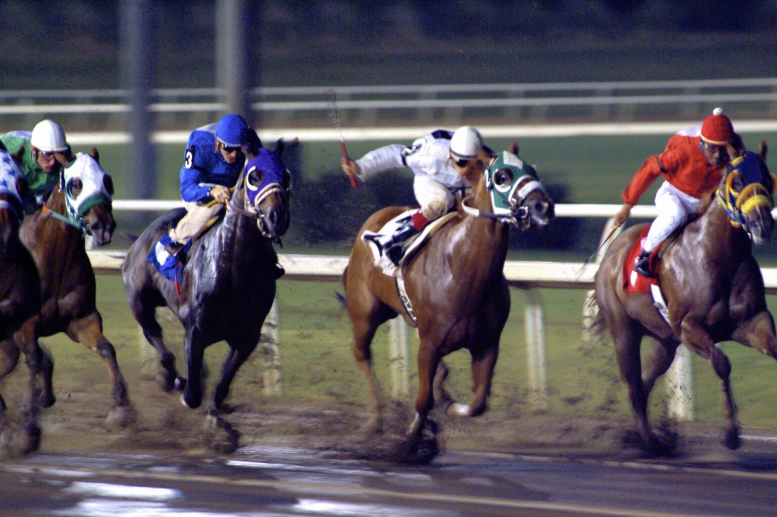 Geny courses : une immersion dans l’univers des courses hippiques ...